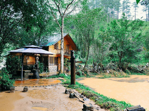 Sốc trước cảnh tượng Ma Rừng Lữ Quán Đà Lạt sau khi bị nhấn chìm trong ...