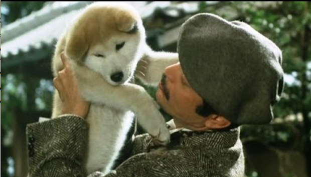 Phim về chú chó huyền thoại Hachiko sắp có bản Trung, dân tình chưa gì ...