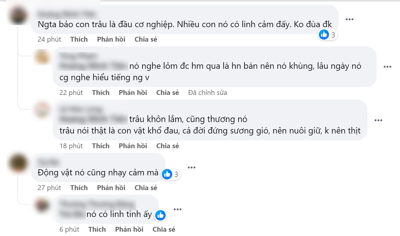 Trâu 'nổi điên' khi chủ dẫn khách về xem để bán